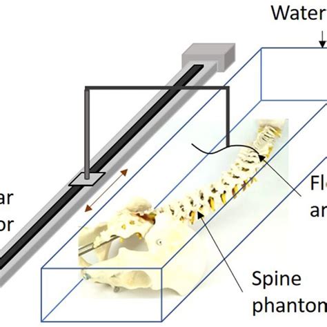 Illustration Of The Setup Of Linear Motor And The Flexible Transducer Download Scientific