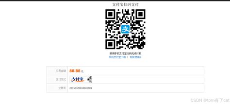 【对接支付宝支付详细流程】支付宝支付对接 Csdn博客