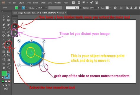 Shapes Adobe Illustrator 8 Trying To Resize An Image Graphic