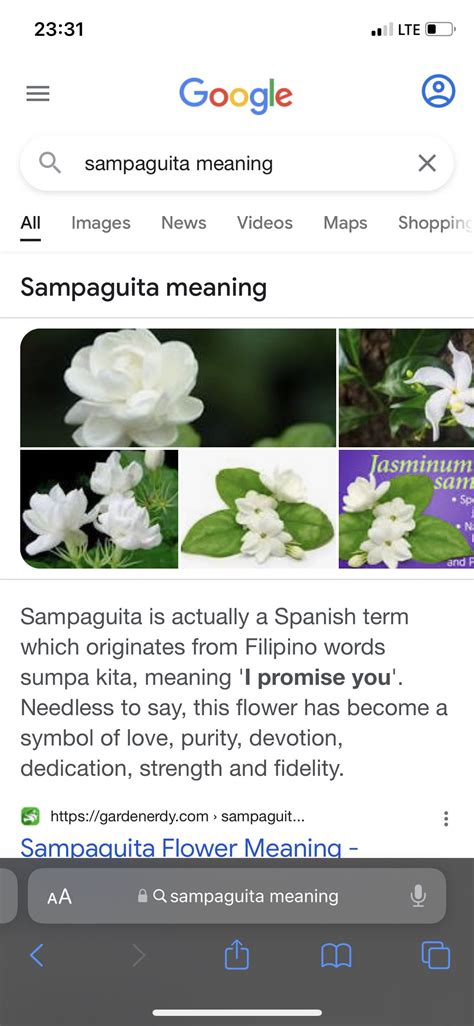 Pin By Lilly Cells On Leaf In 2025 Flower Meanings Pretty Flowers