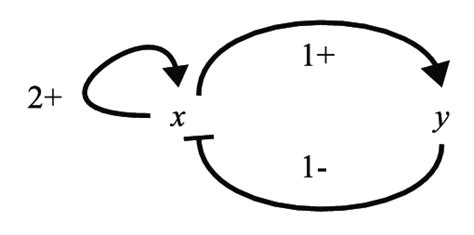 Example Of Interaction Graph Each Arrow Indicates An Interaction From