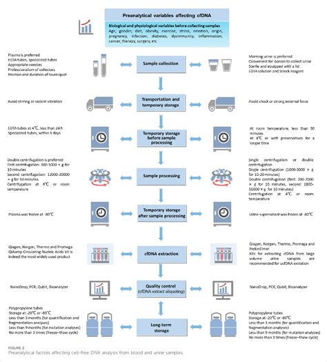 Figure 2 From The Impact Of Preanalytical Variables On The Analysis Of