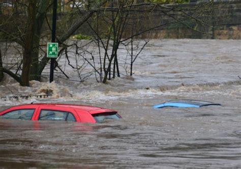 尼莎颱風炸豪雨百齡橋停車場成水池！網問泡水車主不移車怪誰？ 城市學