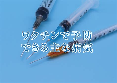 海外渡航のための予防接種はいつ受けるトラベルクリニックを受診するタイミング 二宮レディースクリニック泌尿器科婦人科アートメイク