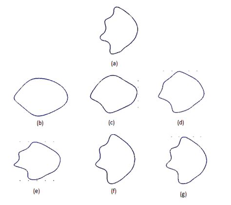 A Original Contour Bc D E F And G Are Reconstructed Download Scientific