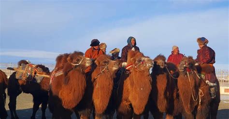 Хурдан атны уралдаанд сумын алдарт уяач Б Алтаншагайн улаан ат түрүүллээ Govi Altai Mn