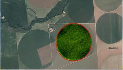 Integrating Remote Sensing Data Into Fuzzy Control System For Variable