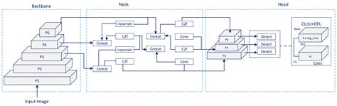 Yolov8 Based System For Nail Capillary Detection On A Single Board Computer