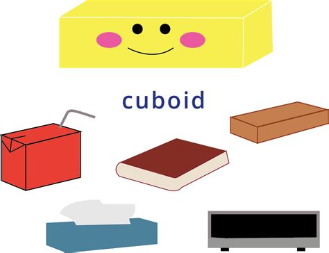 Cuboid In Real Life