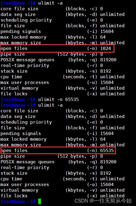 nginx：nginx网站服务（一） toy模板网