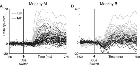 Attentional Modulation Arises Earlier In Lip Than Mt Download