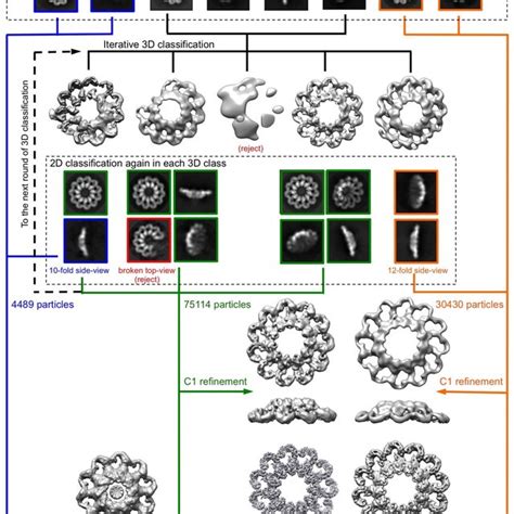 fig s2 schematic workflow of 2d 3d classification to sort out download scientific diagram