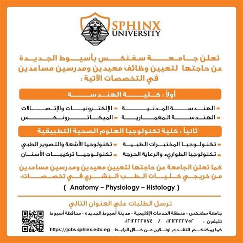 Eman Atef On Linkedin 👌