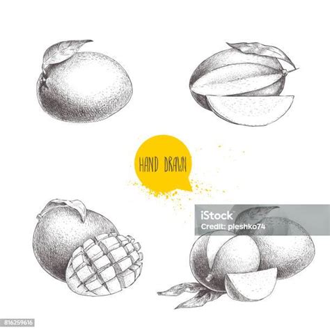 손으로 그린 망고 과일 세트 Leafs와 망고 슬라이스 및 큐브 흰색 배경에 고립 스타일 벡터 과일 그림을 스케치 합니다 유기 음식입니다 0명에 대한 스톡 벡터 아트 및