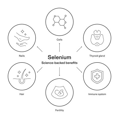 Selenium 200mcg 60 Capsules Womens Best Us