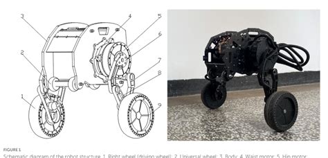 Figure 1 From Design And Dynamic Analysis Of Jumping Wheel Legged Robot In Complex Terrain