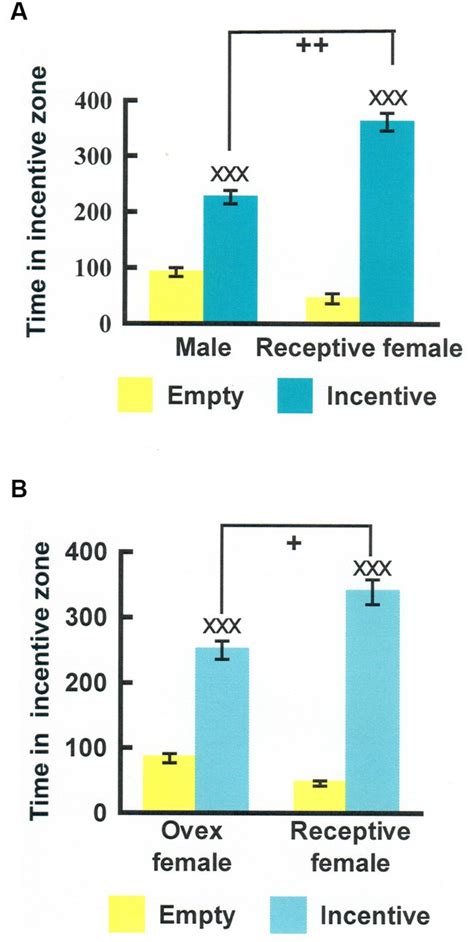 Frontiers The Elusive Concept Of Sexual Motivation Can It Be Anchored In The Nervous System