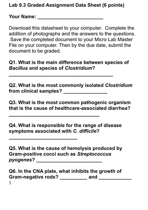 Lab 93 Graded Assignment Data Sheet 6 Points Your Name Download