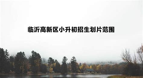 2022 2023年临沂高新区小升初招生划片范围一览 小升初网