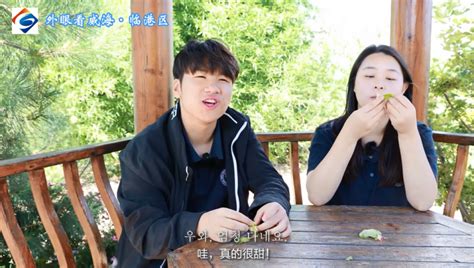 한국 학생 웨이하이의 현대 농업을 체험 수확의 기쁨 누려 대전 주간