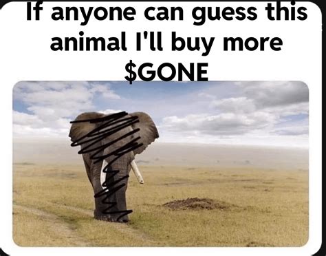 Start Guessing Rpolygone