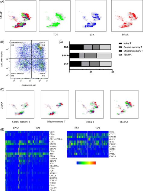 Single‐cell Analysis Of T Cells A Umap Plot For Visualization Of