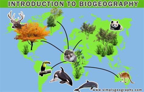 Introduction To Biogeography A Quick Guide To Understanding The