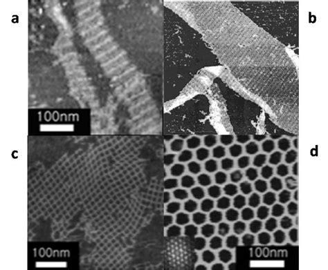 Dna Lattices A Dx Lattice B Tx Ribbons C Cross Tile Lattice And D Download Scientific
