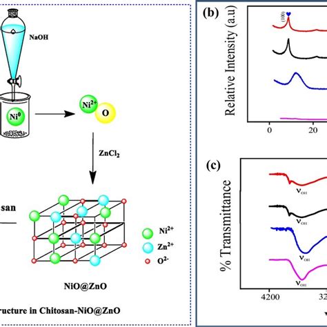 A Schematic Representation Of Synthesis Of Chitosan Nio Zno