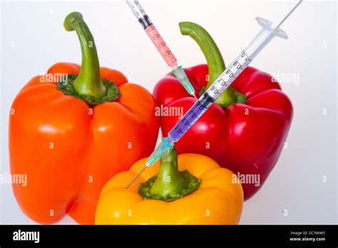 Genetically Modified Vegetables Gmo Food Concept Syringes Are Stuck In Vegetables With