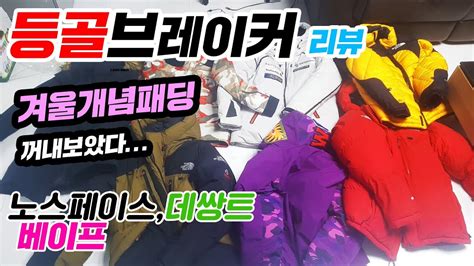 겨울패딩 등골브레이커 7종 리뷰 올겨울개념패딩은 노스페이스 데쌍트 패딩 베이프 Youtube
