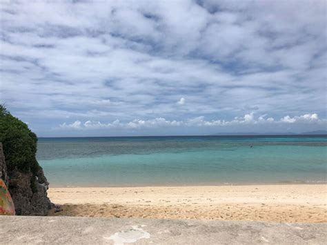 沖縄離島 石垣島 波照間島 ニシハマ シュノーケリングスポット Coconut marine notes