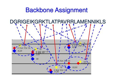 Ppt An Iterative Relaxation Technique For The Nmr Backbone Assignment