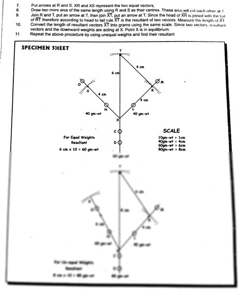 SOLUTION Physics Practical Resultant Two Vectors Class Th Studypool