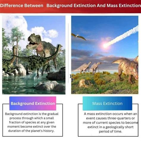 Background Extinction Vs Mass Extinction Difference And Comparison