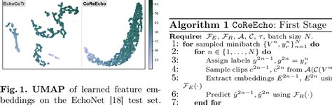 Coreecho Continuous Representation Learning For 2dtime