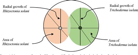 Table 1 From Evaluation Of Trichoderma Spp Against Wirestem Disease Of