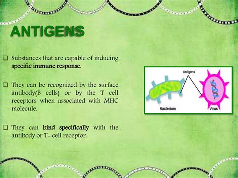 Antigens Pptx