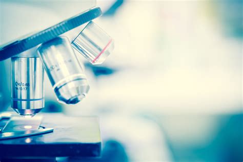 Protex International: for innovative partnerships in the field of bio ...