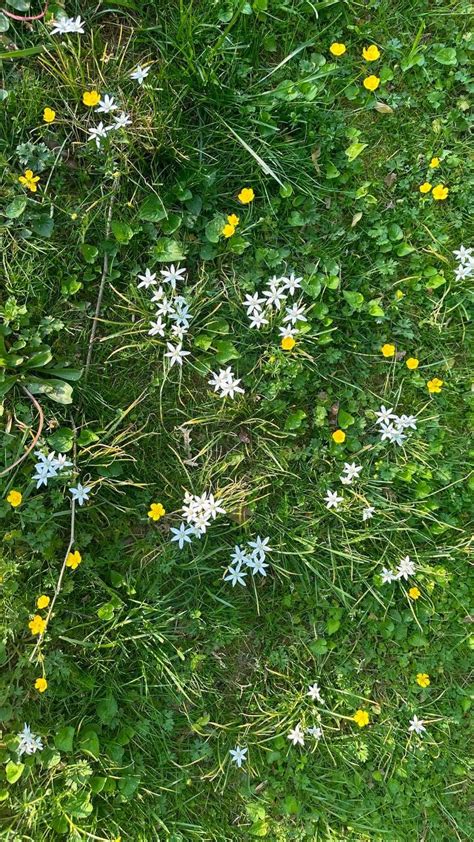 Leetcode Exercises With Swift