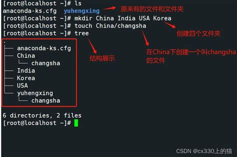 Centos系统中ls命令的时间显示功能与高效运用 Linux命令大全手册