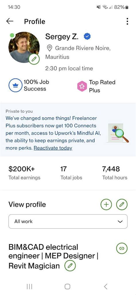 Revit Electrical Magicians Community Networking Upwork Career Plugin Sergey Zhebelev