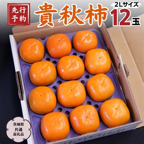 2024年 先行予約 】 貴秋柿 2l 12玉 茨城県共通返礼品 石岡市 2024年10月中旬発送開始 果物 くだもの フルーツ 柿 かき