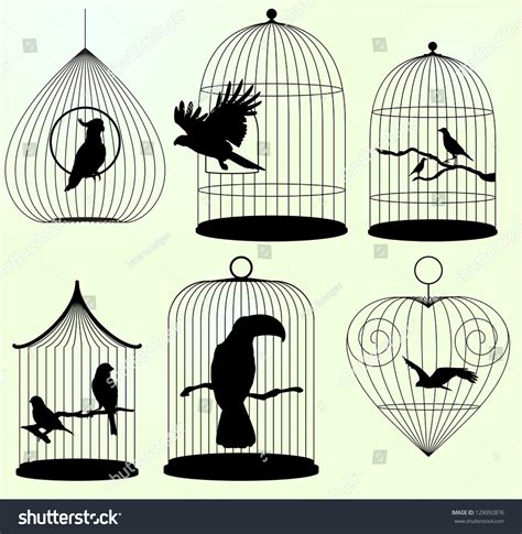 Set Of Vector Birds Cages 129092876 Shutterstock