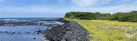 Ala Mauka Makai Ala Kahakai Ala Nui Kaloko And Māmalahoa Trail Loop Hawaii Hawaii Alltrails