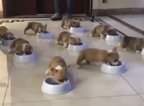 🚀how Tcp Servers Are Designed To Handle Multiple Requests Dev Community