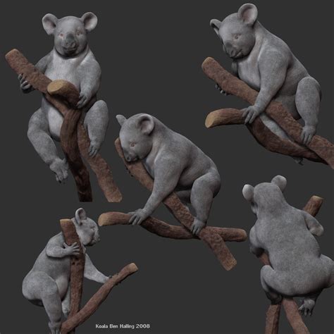 Dumb Koala 59 Photos Porn