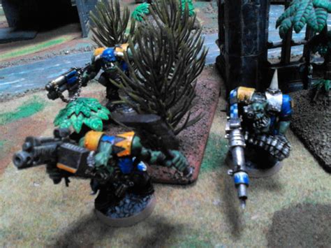 Flash Gits Flash Gits Gallery Dakkadakka