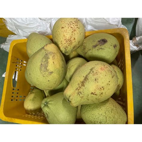 大俗賣 限量白柚表皮瑕疵免運 文旦 西施柚 麻豆文旦 紅柚 大白柚 白柚 蝦皮購物