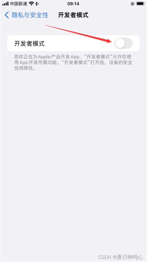 苹果怎么开启开发者模式